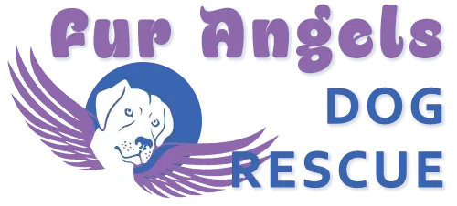 Fur Angels Dog Rescue | Petaluma Dog Adoption
